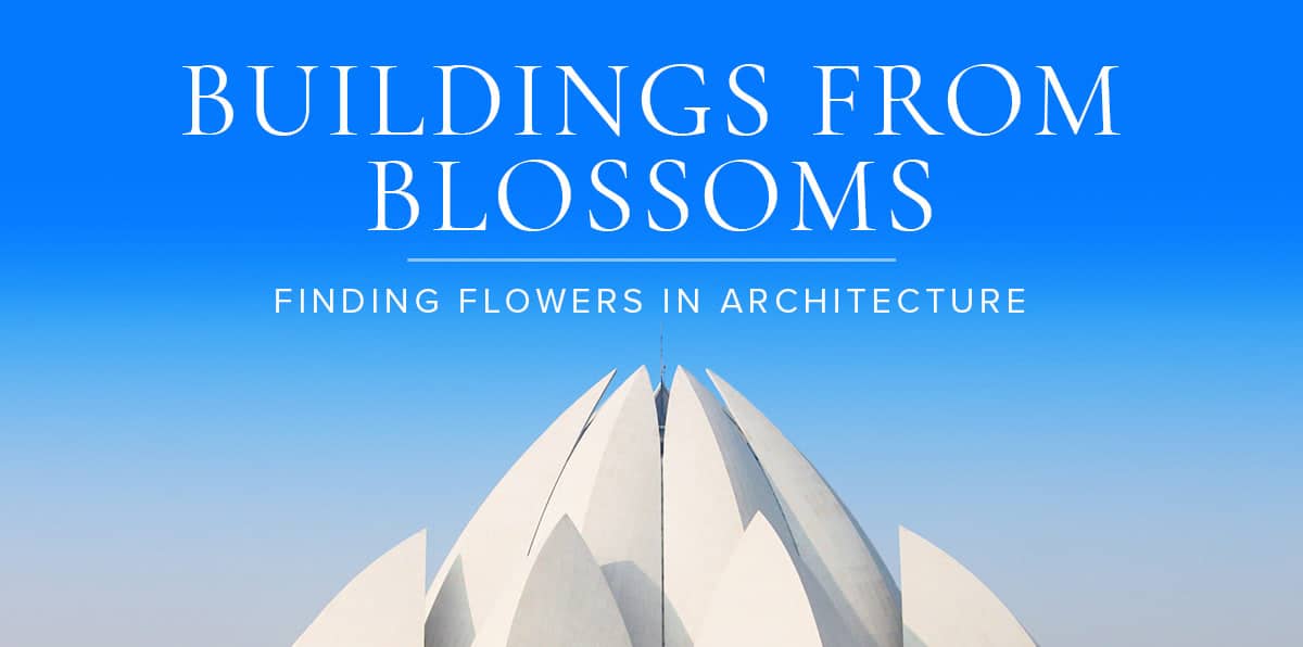 The Elegance and Grace of Flowers Captured in Architecture - WildFlower ...