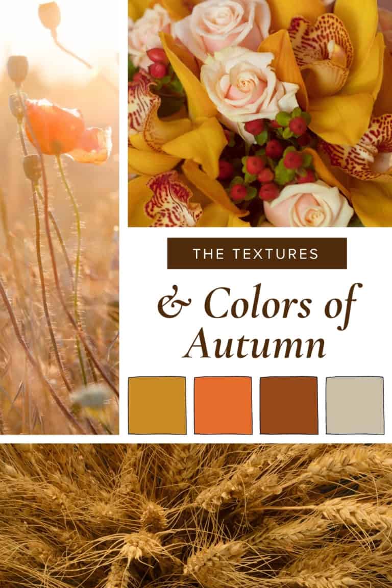 The Epic Colors & Textures of Fall Blooms - WildFlower - WildFlower