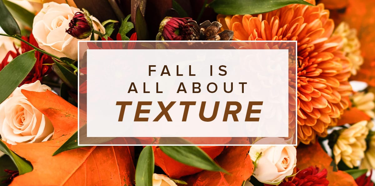 The Epic Colors & Textures of Fall Blooms - WildFlower - WildFlower