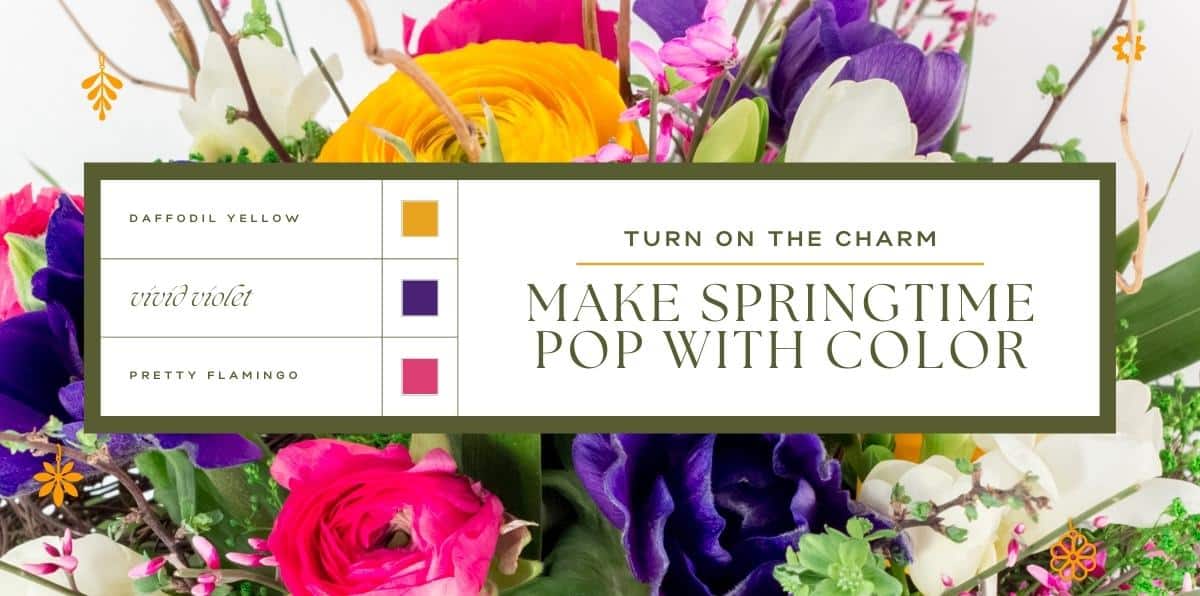 Charming Spring Flowers to Brighten Your Home - WildFlower - WildFlower