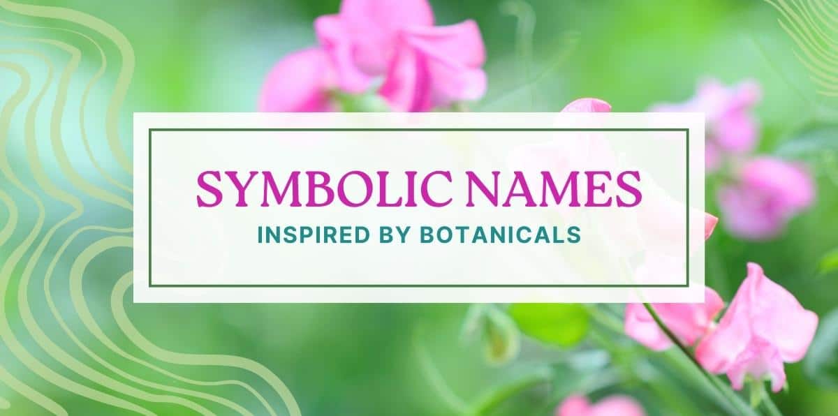 Dazzling Botanical Names for Your Bundle of Joy or Fur Baby ...