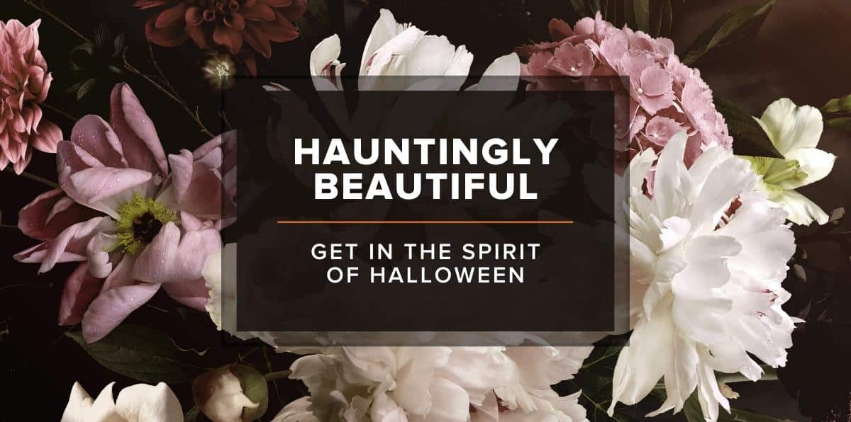 How to Craft a Bewitching Flower Arrangement for a Spooky Haunted ...