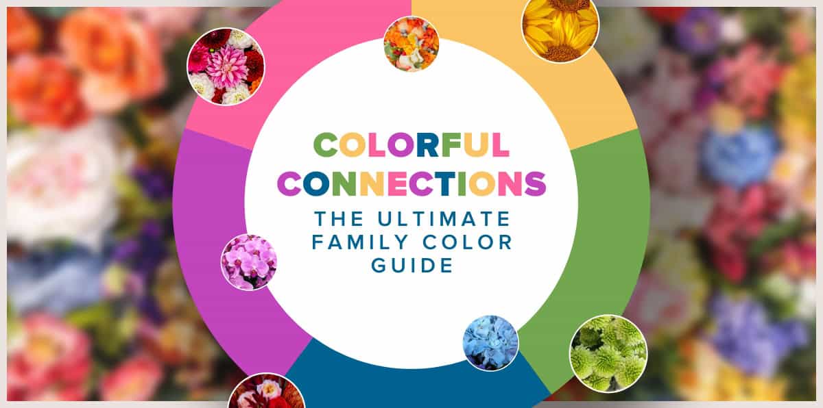 Family Ties & Floral Vibes: A Guide to Flower Color Meanings ...